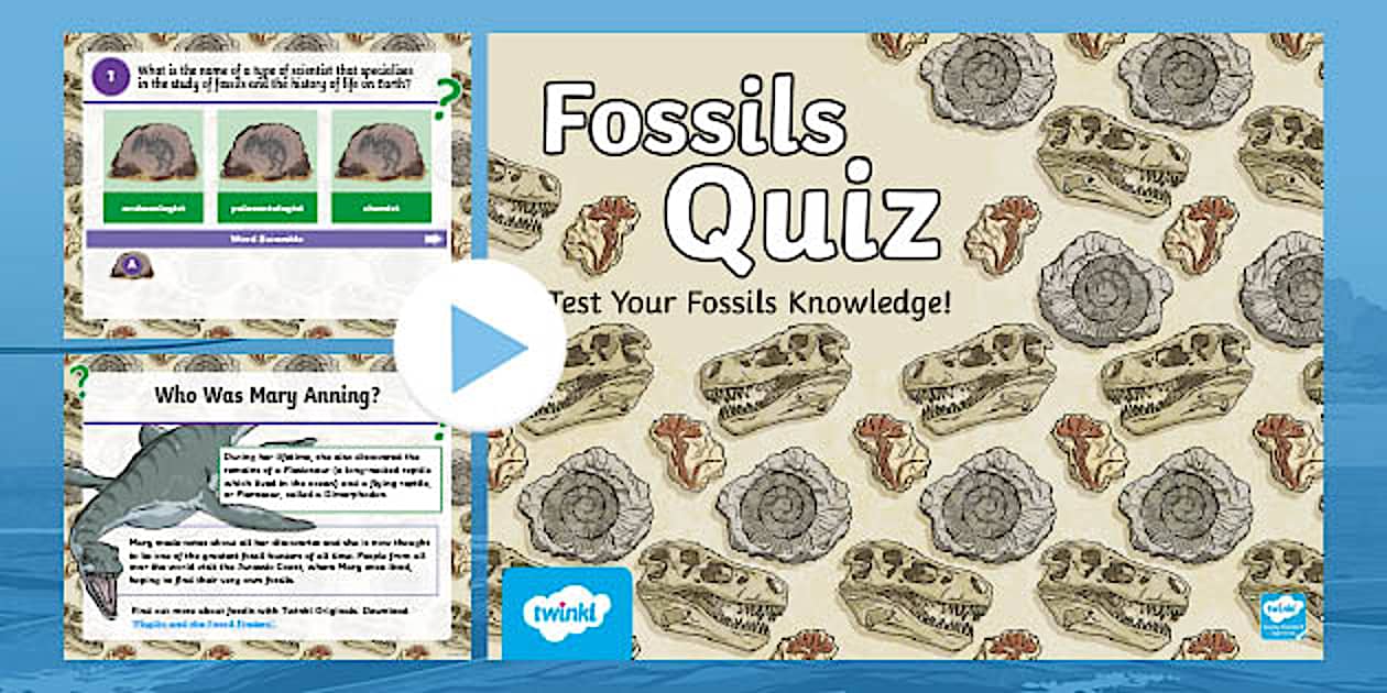 Test Your Fossils Knowledge KS2 Quiz PowerPoint | Twinkl